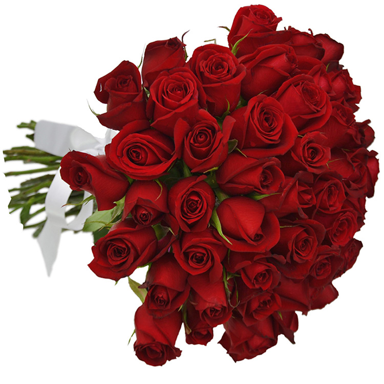 Buque de Rosas Vermelhas 36 Rosas - Floricultura Cesta e Flor Buque de Rosas Vermelhas 36 Rosas - Floricultura Cesta e Flor